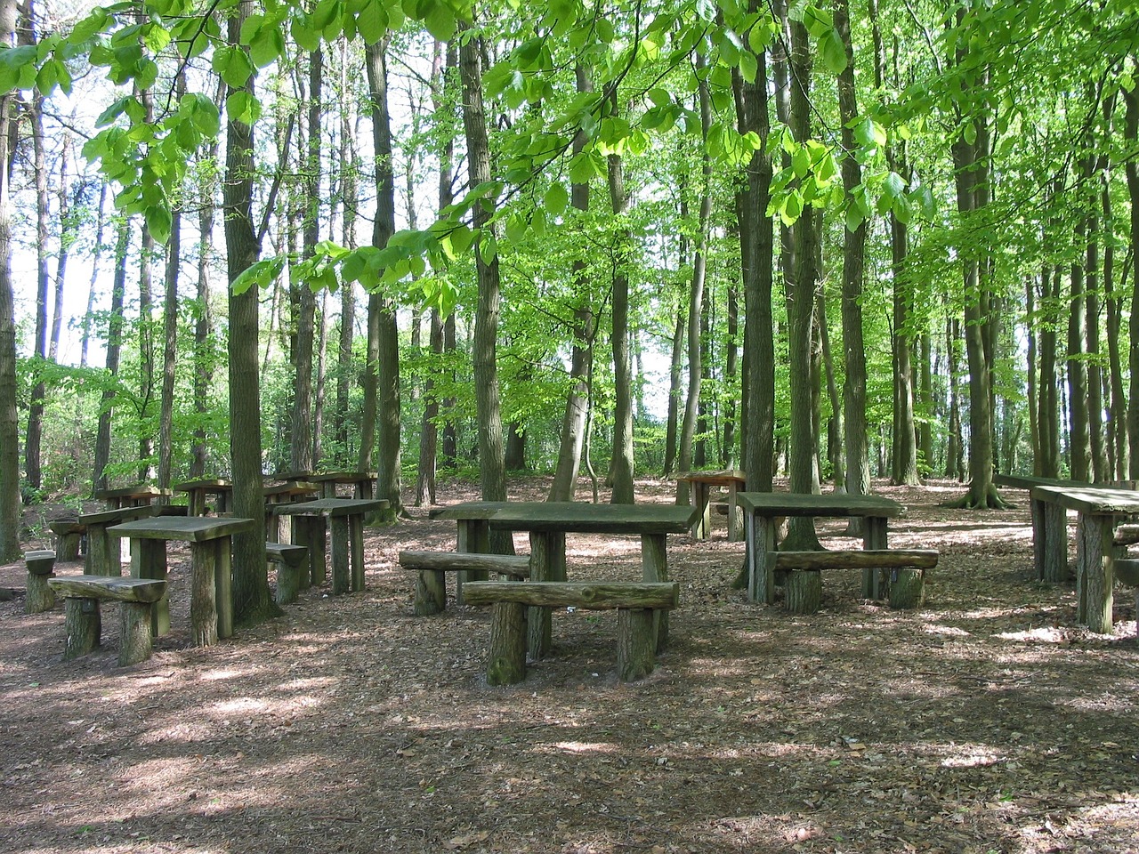 How Outside Drama Lessons Can Help Mental Well-Being - Able Canopies